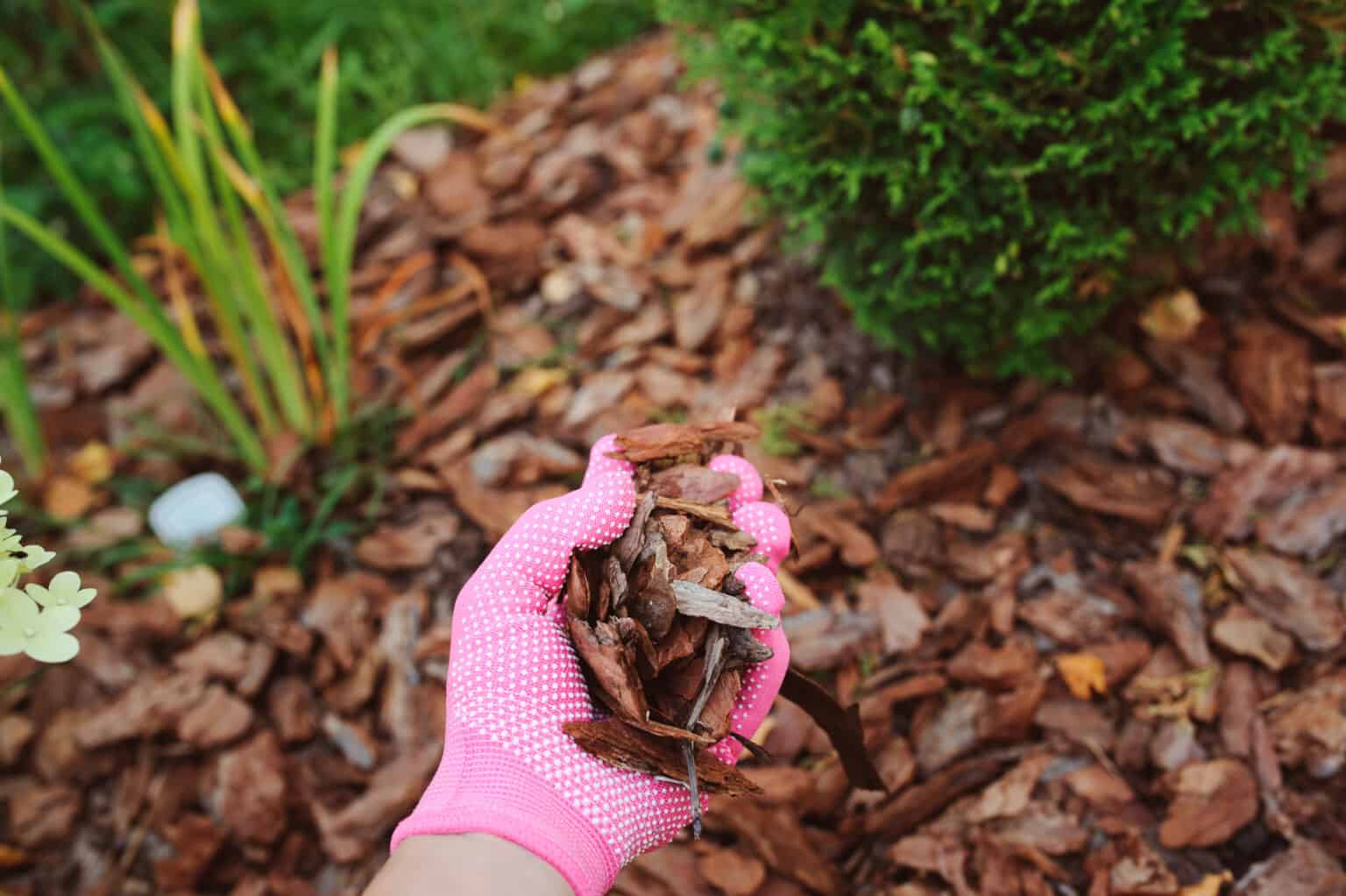 Choosing the Right Material Under Your New Deck: Mulch, Sand, Soil, or ...
